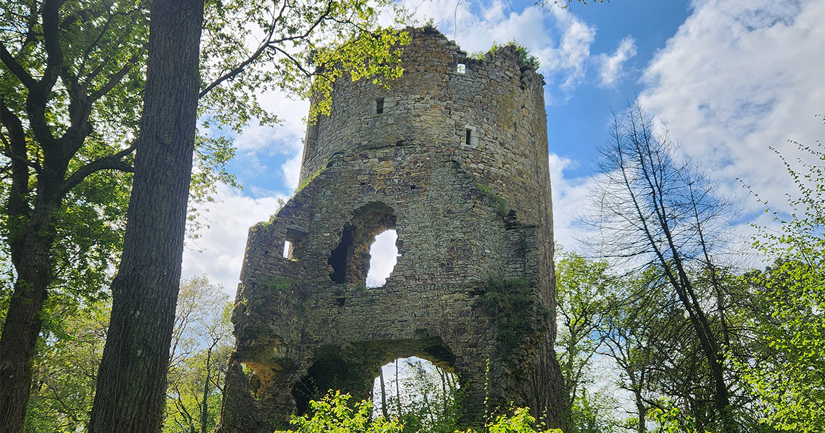 Dictée Ce2 Le Siège Du Château De Derval | Univers'Elles