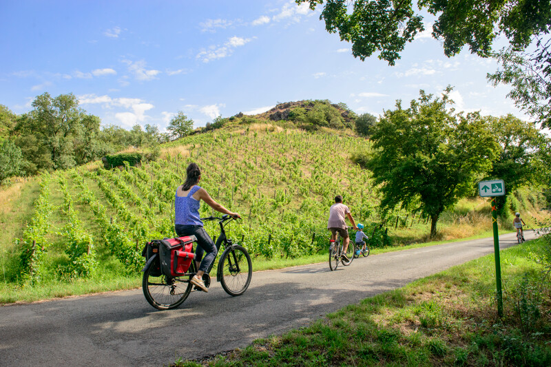 Boucle vélo Anjou vignoble et villages, CHALONNES-SUR-LOIRE | Anjou ...