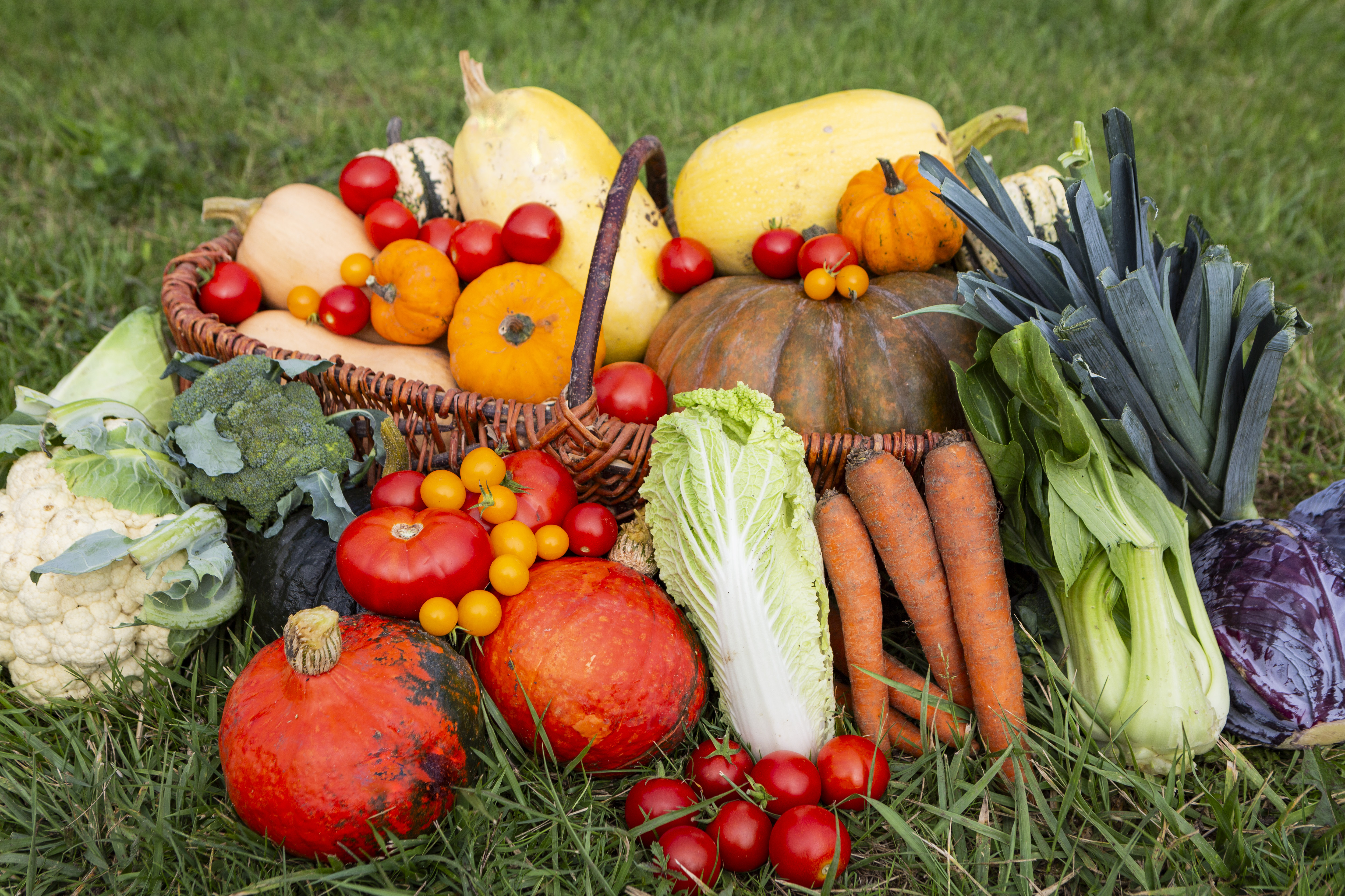Potager de la Grande Maison, MORANNES SUR SARTHE-DAUMERAY | Anjou Tourisme