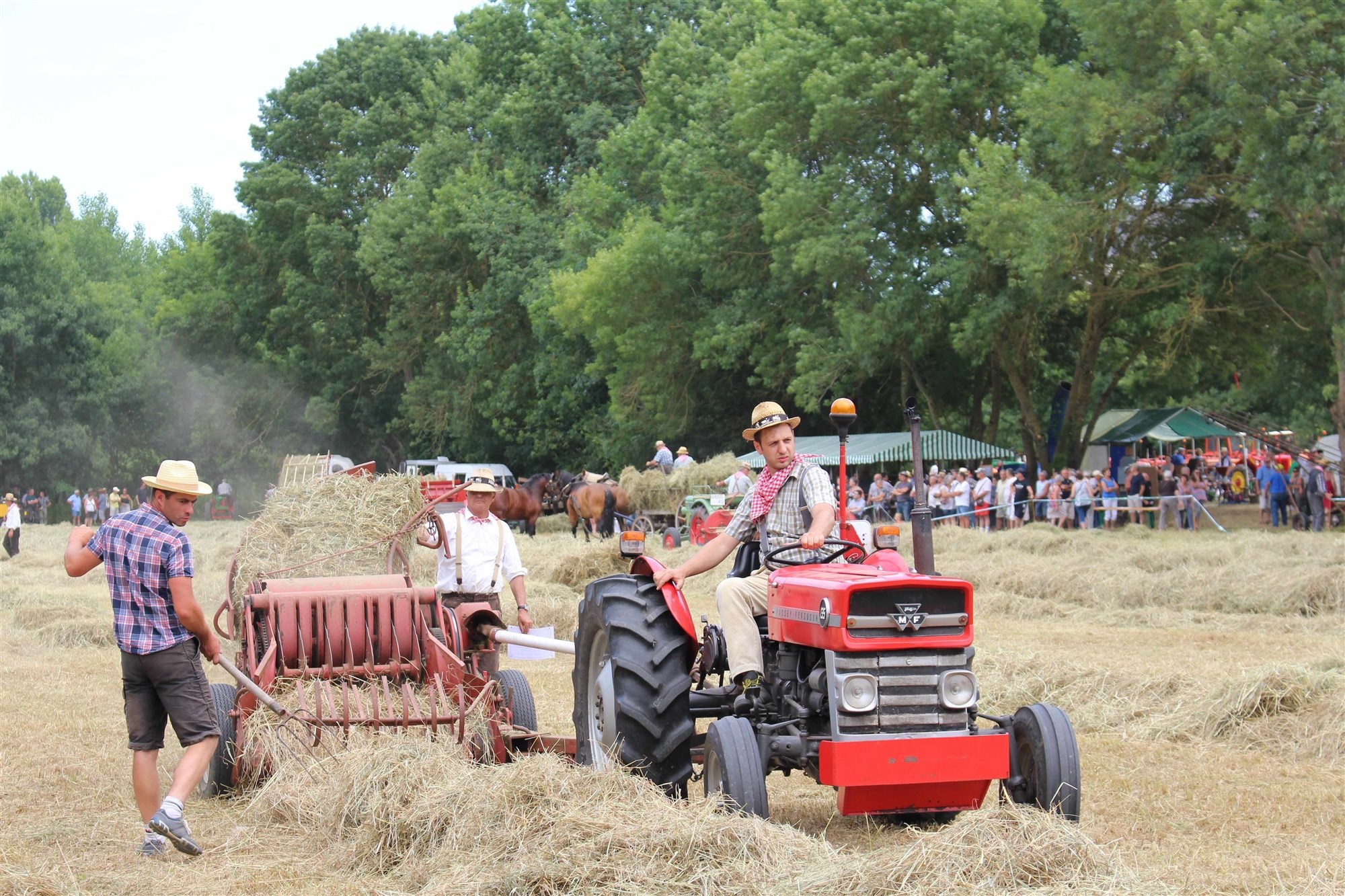 Fête des foins à Corzé - 17ème édition, CORZE | Anjou Tourisme