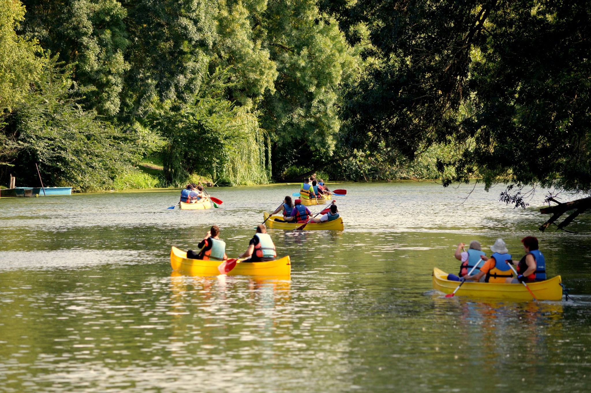 Location de canoë kayak et paddle sur la Sarthe ou le Loir, TIERCE ...