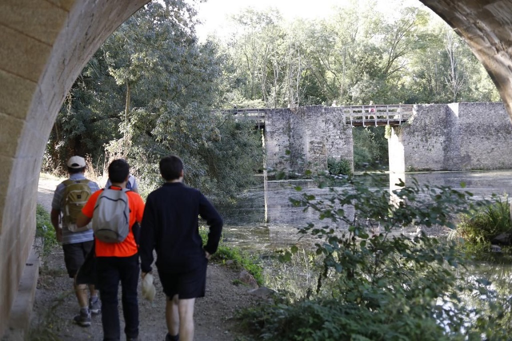 9ème Randonnée Layon Hyrôme, CHEMILLE-EN-ANJOU | Anjou Tourisme