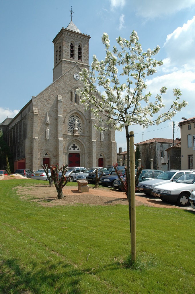 Aire de pique nique de la Moine, SEVREMOINE | Anjou Tourisme